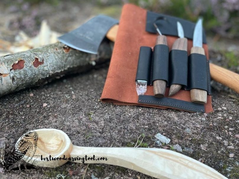 Top 7 Best Wood Carving Beginner Kits – Reviews and buying guide