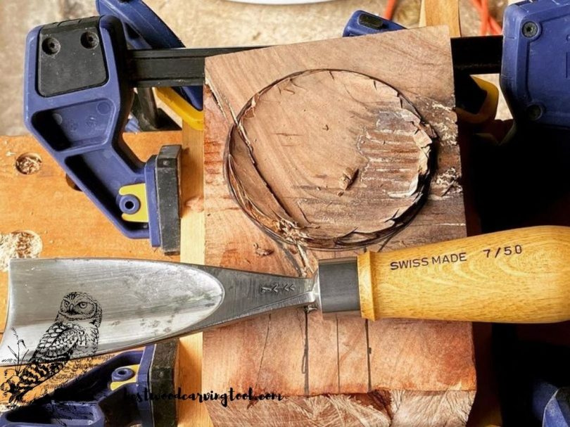 Step by Step Spoon Carving Guide for Beginners